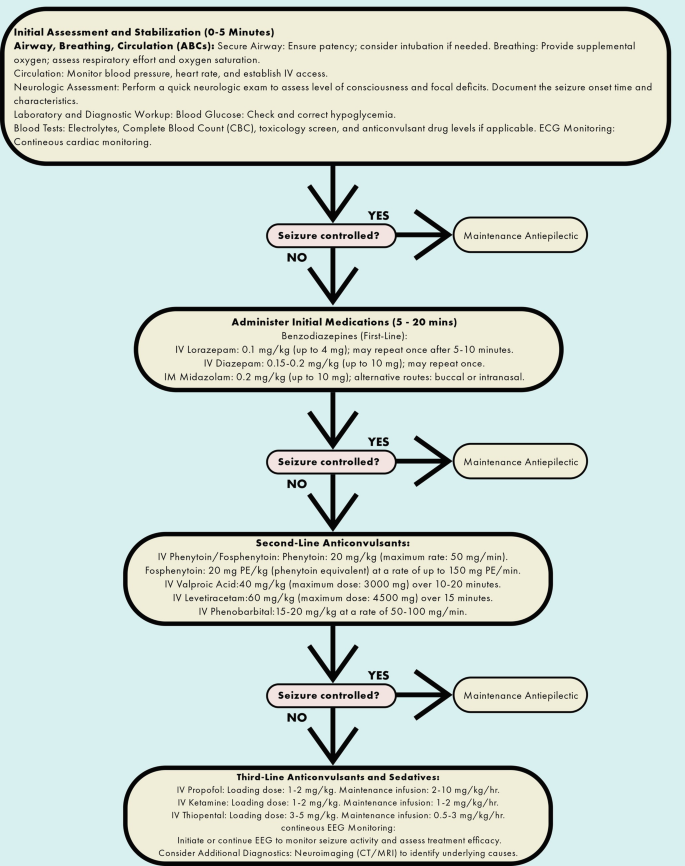 Management of Seizures in the ICU | Springer Nature Link
