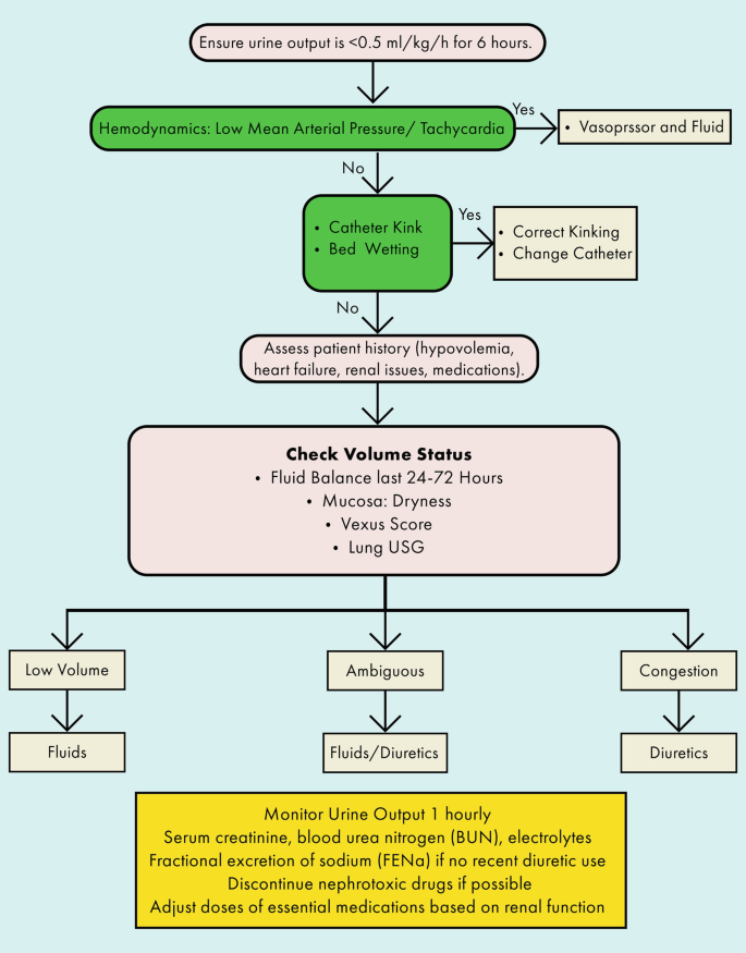 Approach to Oliguria in the ICU | Springer Nature Link