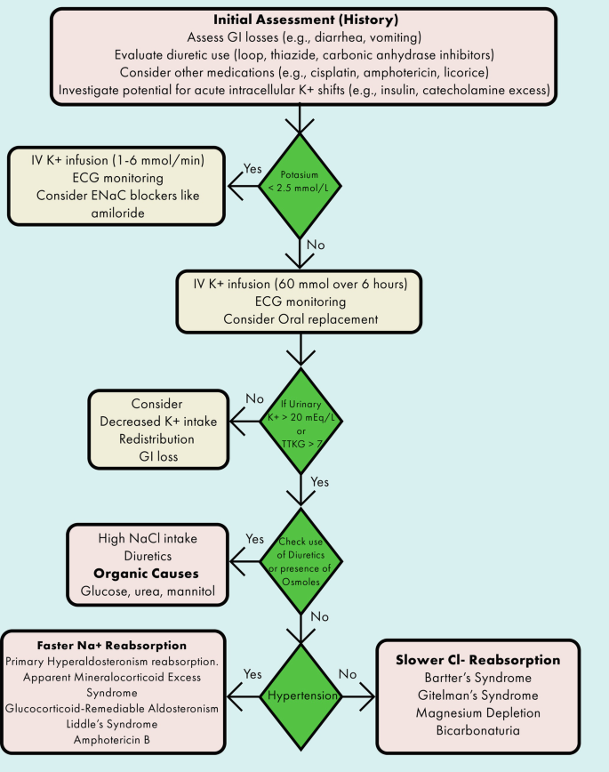 Approach to Hypokalemia | SpringerLink