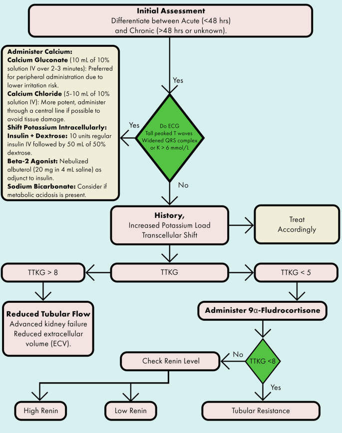 Approach to Hyperkalemia in the ICU | SpringerLink