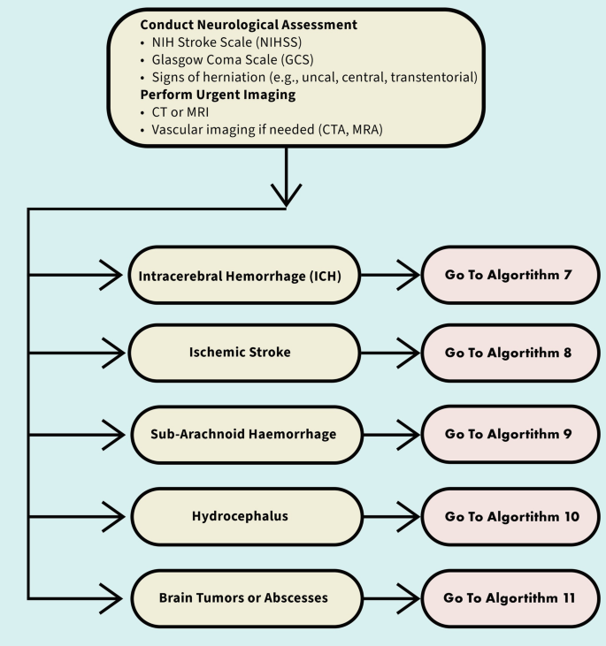 Management of Patients with Focal Neurological Deficits in the ICU ...