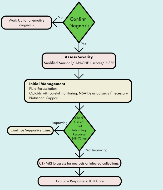 Approach to Acute and Chronic Pancreatitis in the ICU | SpringerLink