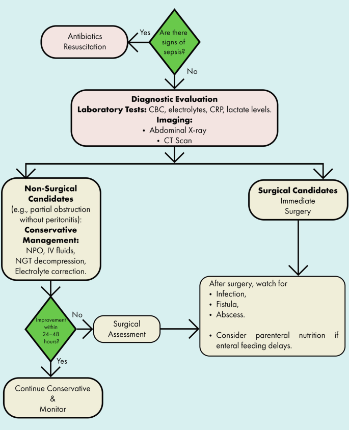 Approach to Intestinal Perforation or Obstruction in the ICU | SpringerLink