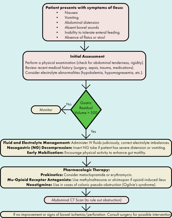 Approach to Ileus in the ICU | SpringerLink