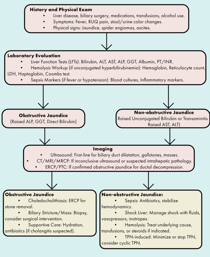Approach to Jaundice in the ICU | SpringerLink