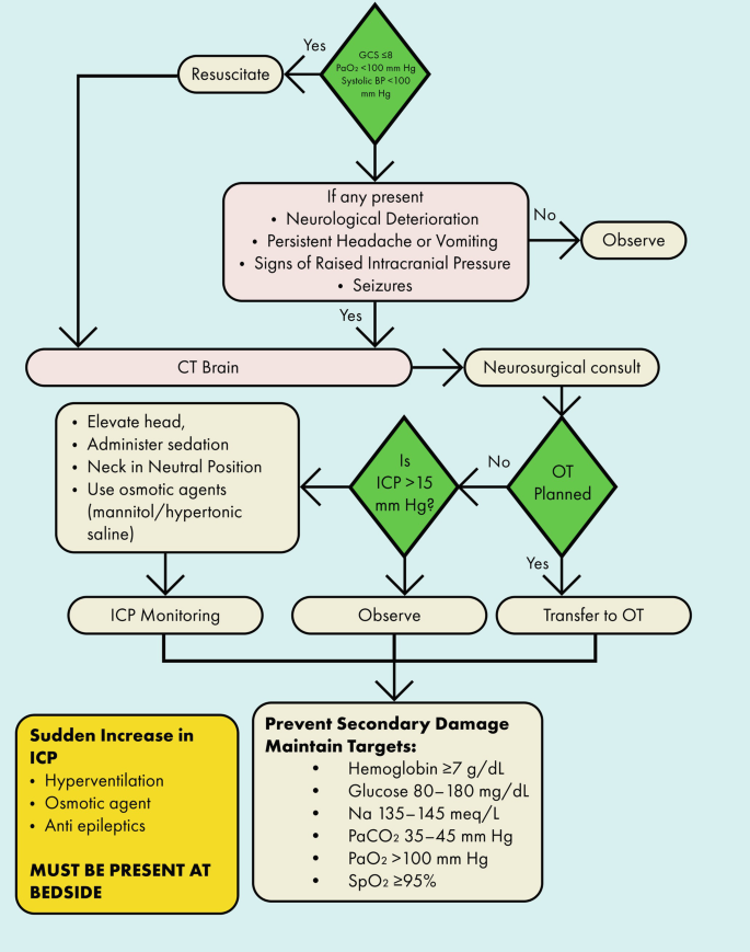 Approach to Head Injury in the ICU | SpringerLink