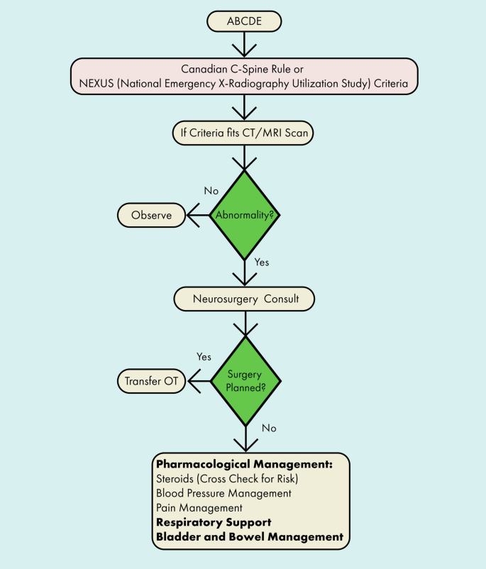 Approach to Spinal Trauma in the ICU | SpringerLink