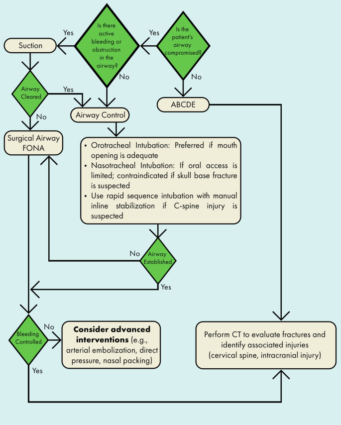 Approach to Maxillofacial Trauma in the ICU | SpringerLink