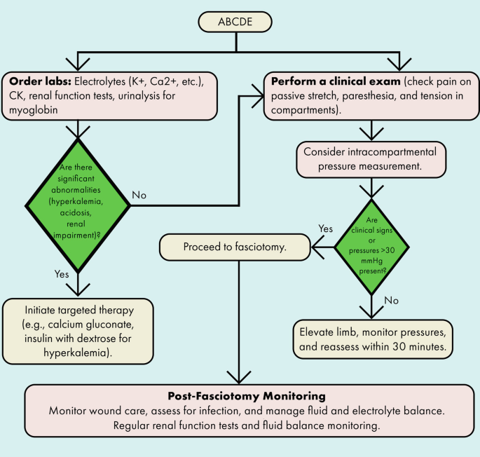 Approach to Crush Injury and Compartment Syndrome in the ICU | SpringerLink