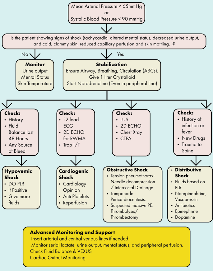 Approach to Shock in the ICU | SpringerLink