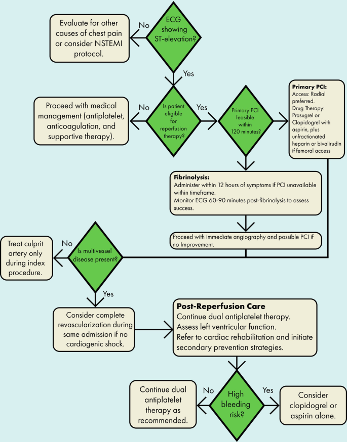 Approach to STEMI in the ICU | SpringerLink