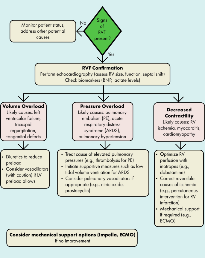 Approach to Right Ventricular Failure in the ICU | SpringerLink