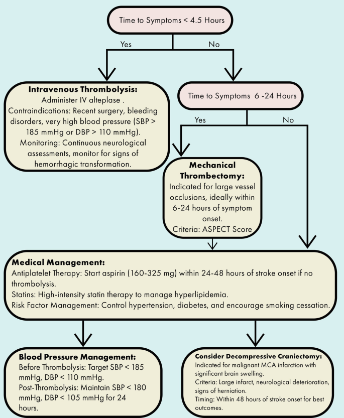 Management of Ischemic Stroke in the ICU | SpringerLink