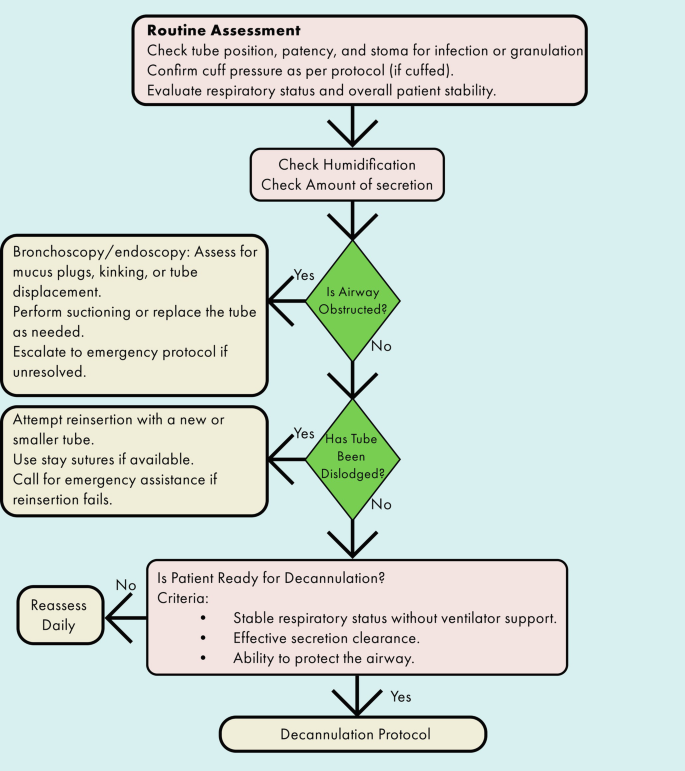 Approach to Tracheostomy Care in the ICU | SpringerLink