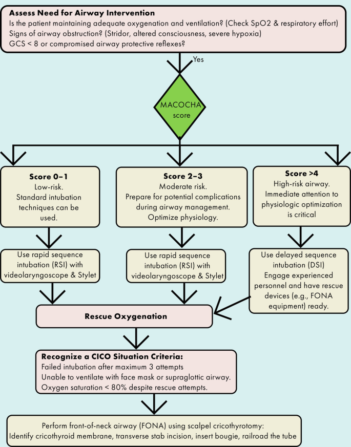 Approach to Airway Management in the ICU | SpringerLink