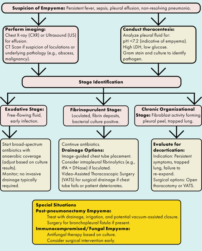 Approach to Empyema in the ICU | SpringerLink