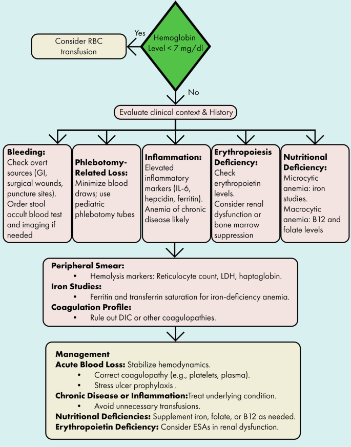 Approach to Anemia in the ICU | SpringerLink