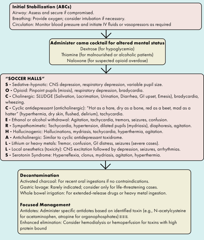 Approach to General Poisoning in the ICU | SpringerLink