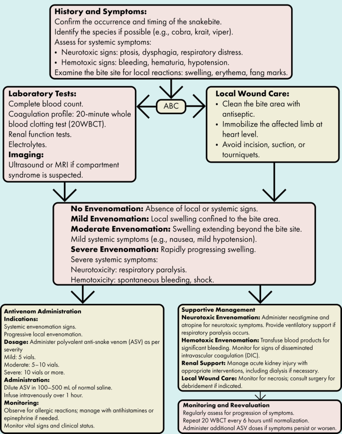 Approach to Snake Bite in the ICU | SpringerLink