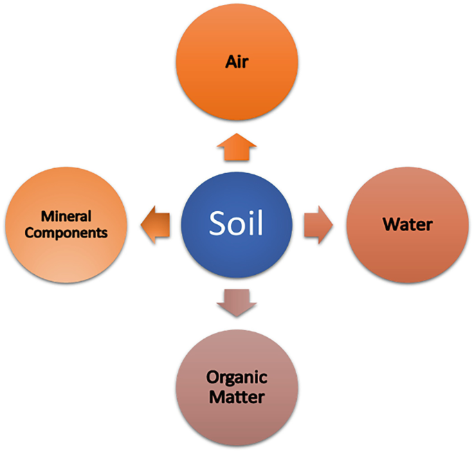 Forensic Analysis of Soil and Sediments | SpringerLink