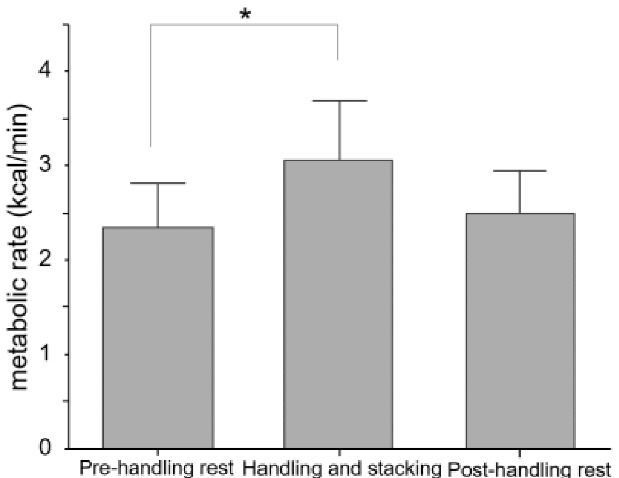 Response of Pulmonary Function and Metabolic Rate After Heavy Object Handling at High Altitudes ...
