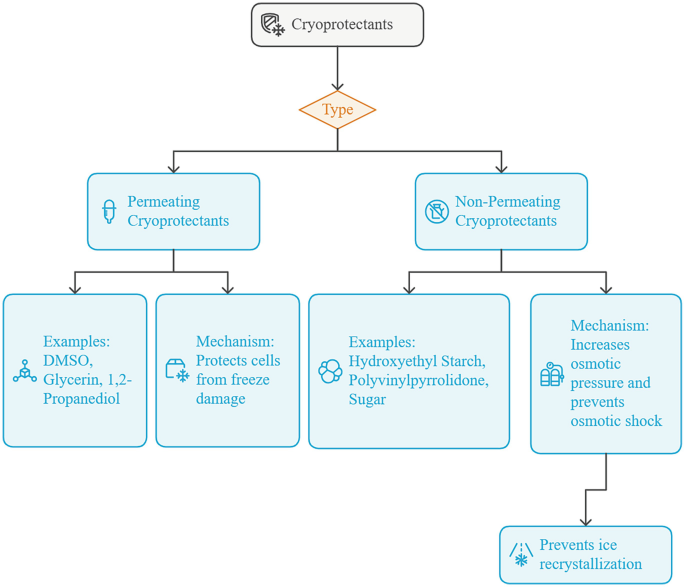 Development of the Freeze-Drying Cycle, Cryoprotectant Selection, and ...