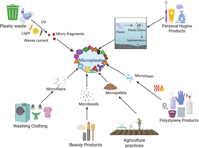 Microbes’ and Microplastics’ Interactions in Freshwater Ecosystems ...