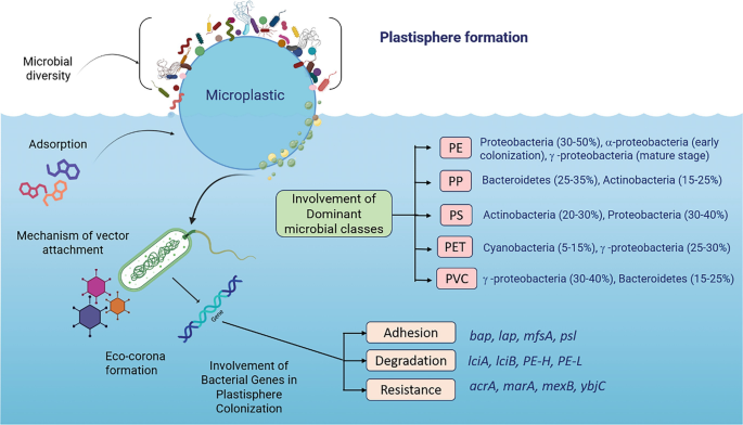Microbes’ and Microplastics’ Interactions in Freshwater Ecosystems ...