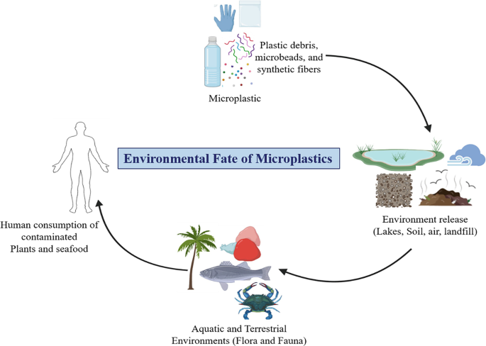 Microbes’ and Microplastics’ Interactions in Freshwater Ecosystems ...