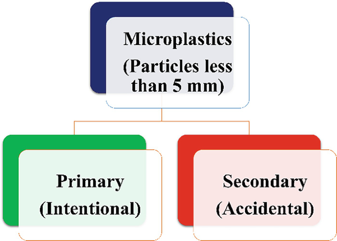 Impact of Microplastics on Human Health | SpringerLink