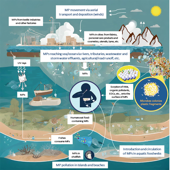 Microplastics and Aquatic Limnology: Conception of Biogeochemical ...