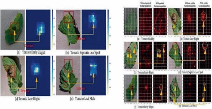 Plant Leaf Disease Detection Using Machine Learning | Springer Nature Link