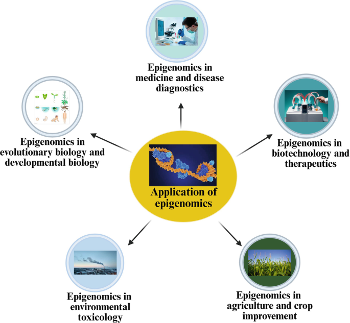 A Comparative Overview of Epigenomics | SpringerLink