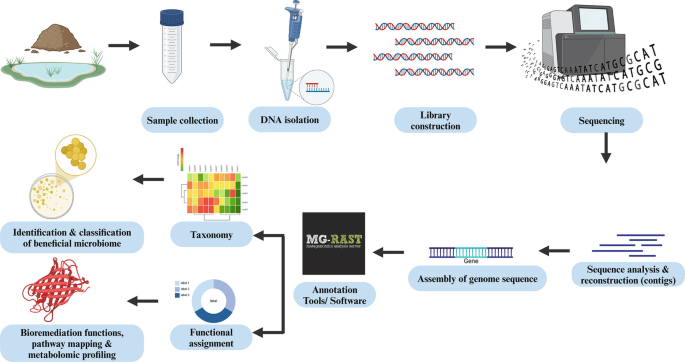 Identification of Beneficial Microbes from Metagenomic Sequencing ...