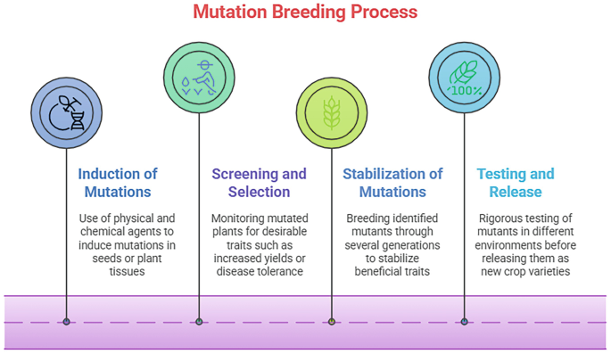 A Historical Perspective of Crop Improvement | SpringerLink