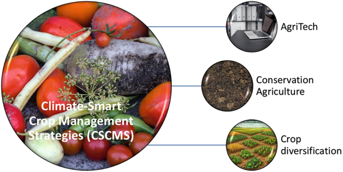 Unraveling Solutions to the Complex Problems: Implementing Climate ...