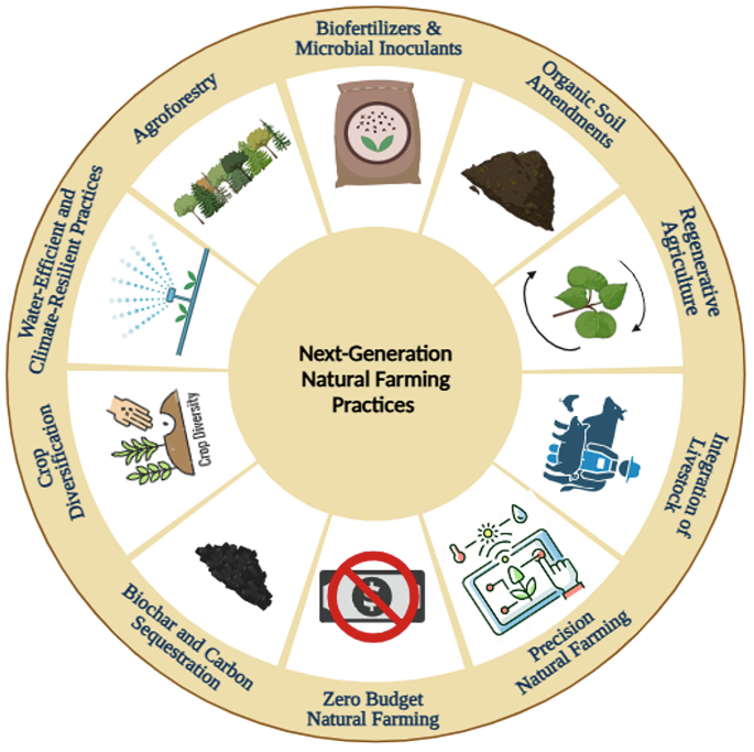 Next-Generation Natural Farming Practices for Crop Improvement ...