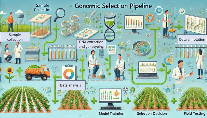 Marker-Assisted Selection and Genomics Tools for Improving Crops ...
