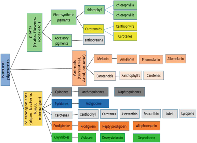 Microbial Pigments as Bio-based Dyes in Textile | SpringerLink