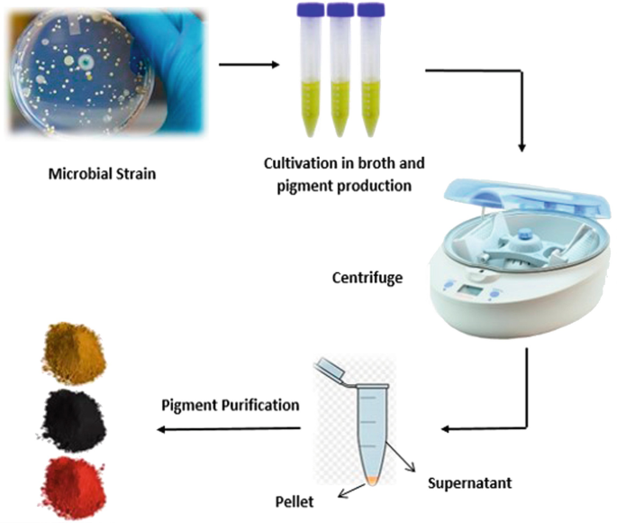 Microbial Pigments as Bio-based Dyes in Textile | SpringerLink