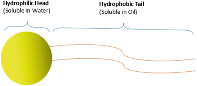 Innovative Applications of Microbial Biosurfactants for Textile ...