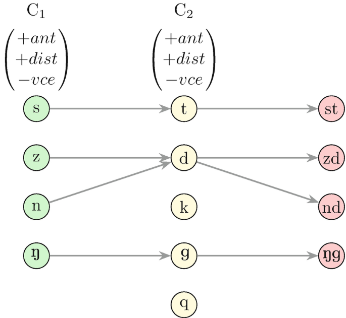 Consonant Cluster Simplification in Kurdish Language: New Typological ...