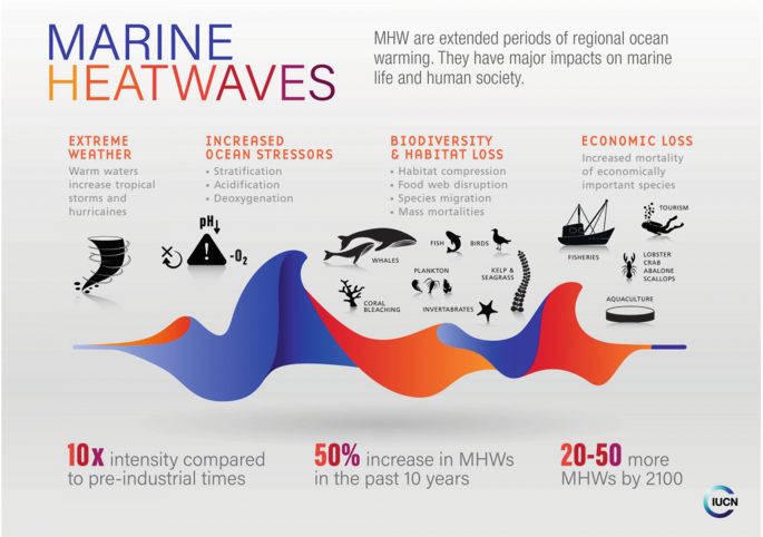 Warming Seas: The Impact of Climate Change on Ocean Life and Ecosystems ...