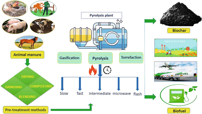 Biochar from Animal Waste and Its Applications | SpringerLink