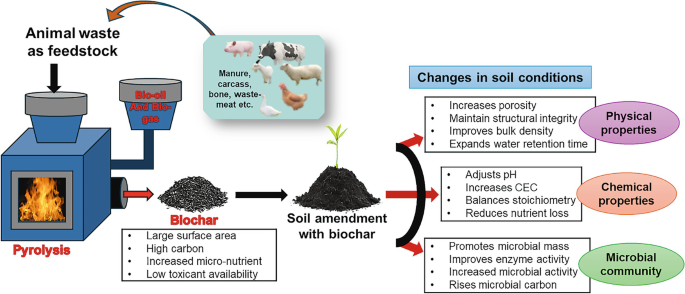 Biochar from Animal Waste and Its Applications | SpringerLink