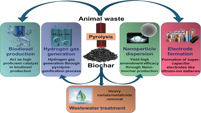 Biochar from Animal Waste and Its Applications | SpringerLink