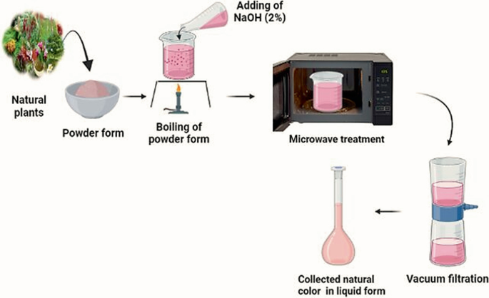 Advancement in Natural Dyes Extraction and Application for Textile ...