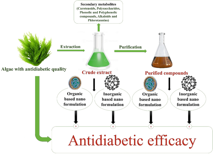 Drug Delivery and Nanotechnology to Enhance Antidiabetic Properties of ...
