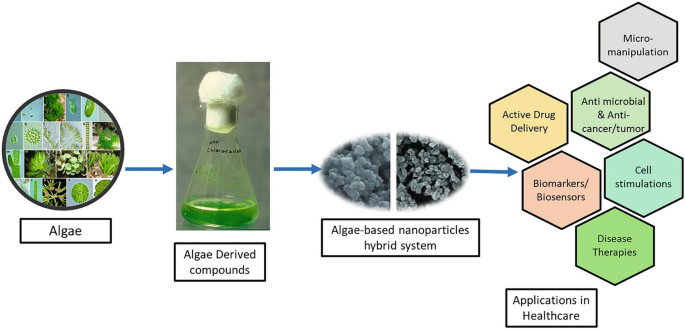 Drug Delivery and Nanotechnology to Enhance Antidiabetic Properties of ...