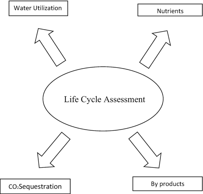 Economic and Environmental Impact of Algae in Diabetic Management ...